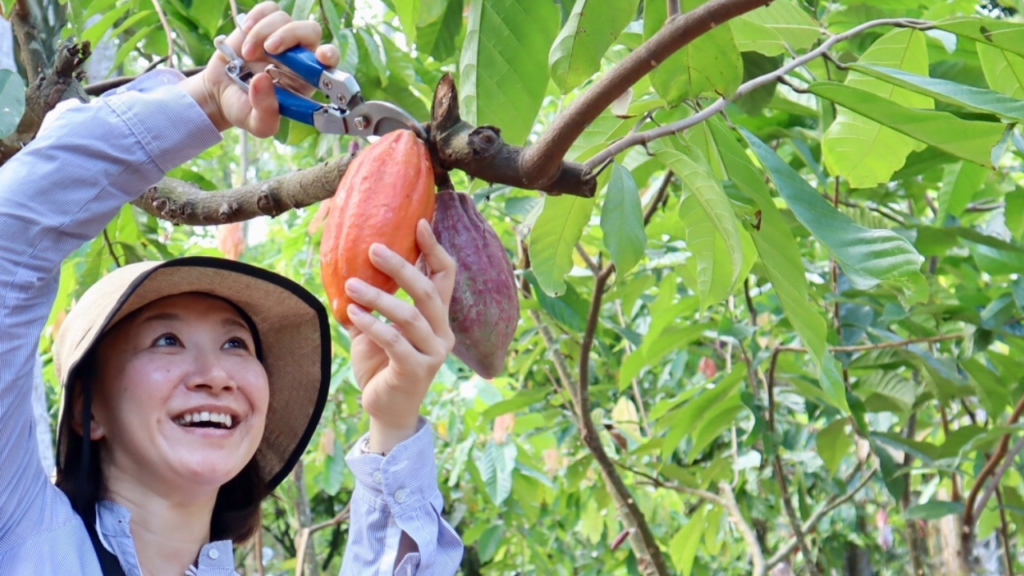 誰かの役にたちながらカカオの良さを広げたい ここます増田恭子さん – Re･rise News -美しい時代を創る人達-